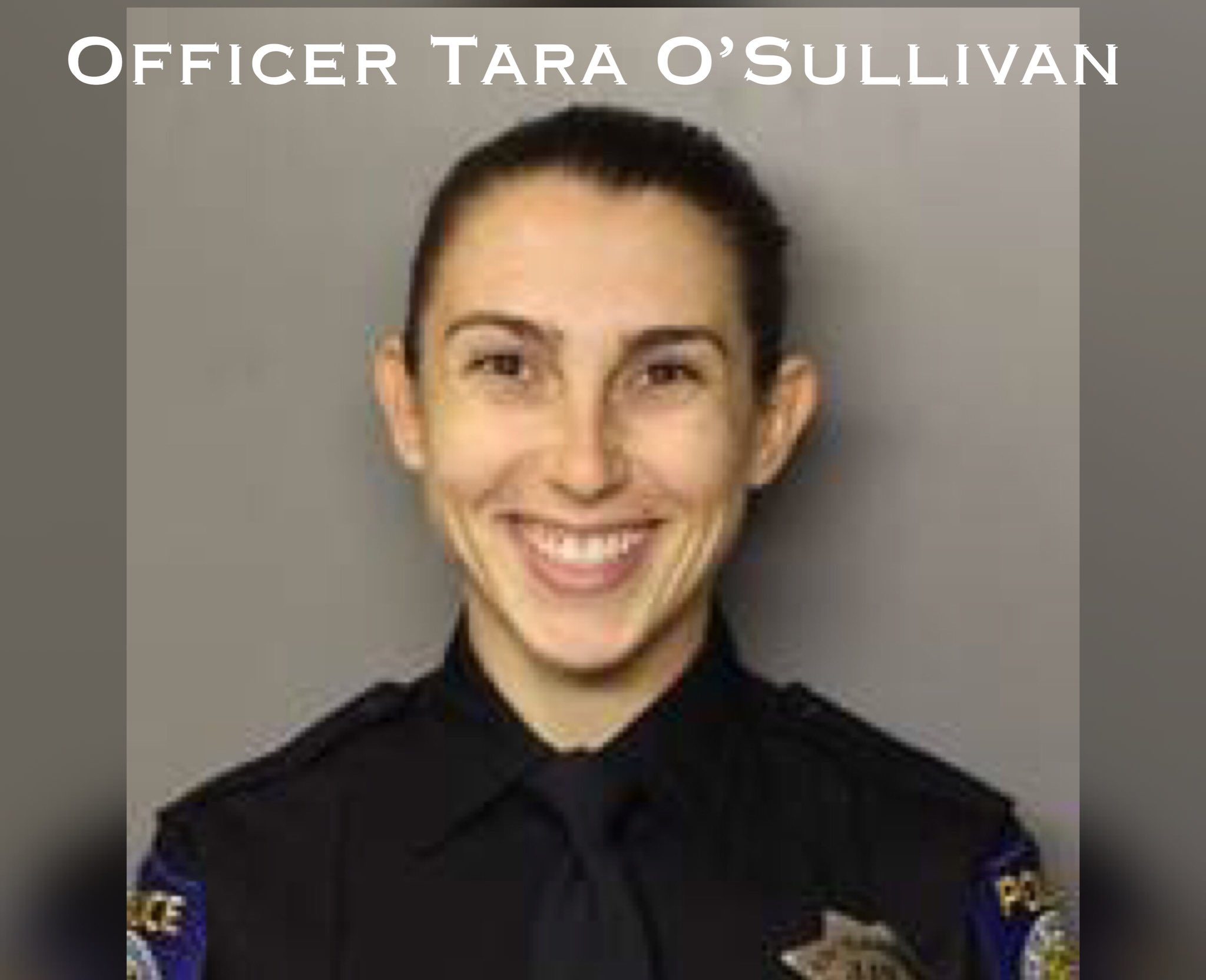 An unpredictable call. A heavily armed suspect. An ambush that leaves ...