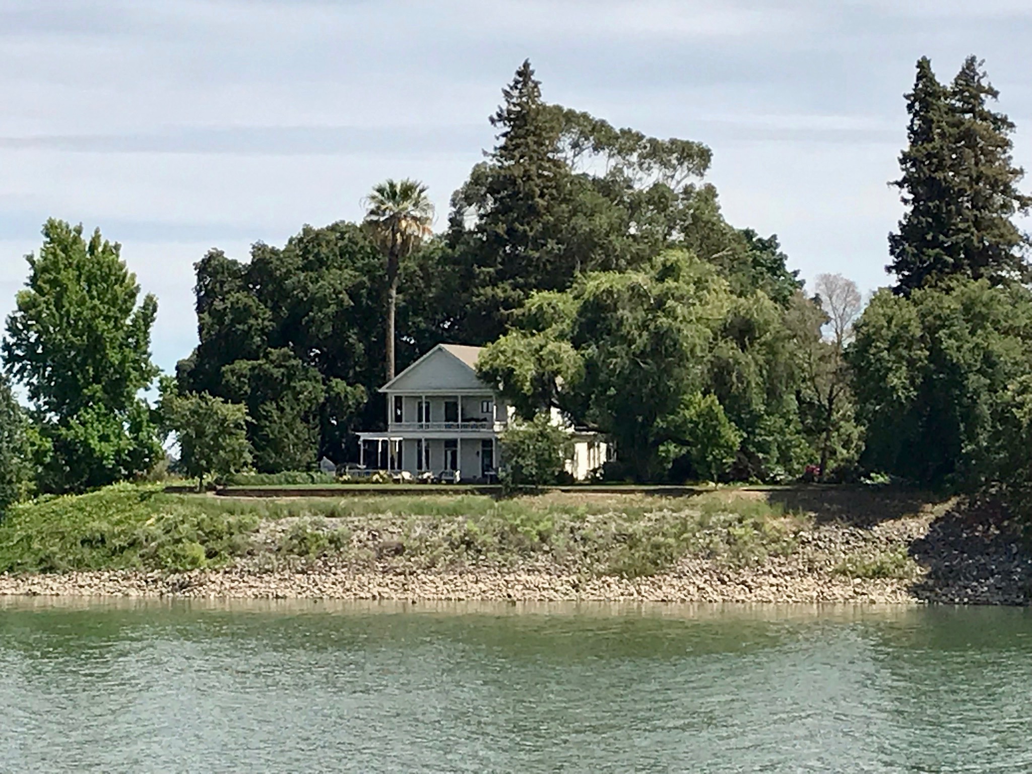 Slap and go • Sacramento News & Review