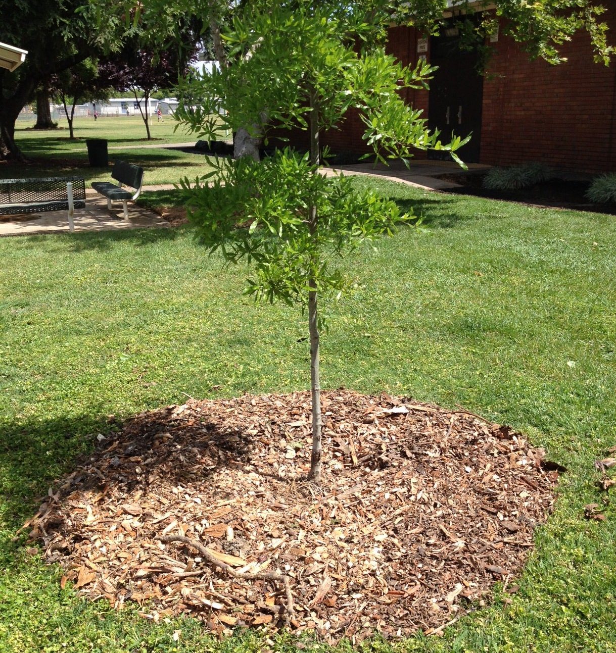 Sticks and stones • Sacramento News & Review