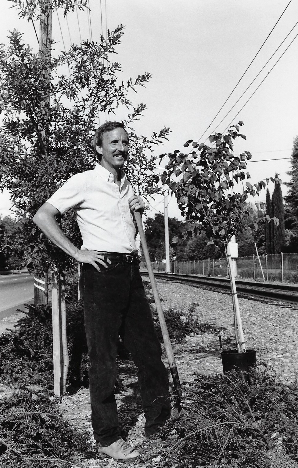 Steady as a Valley oak • Sacramento News & Review