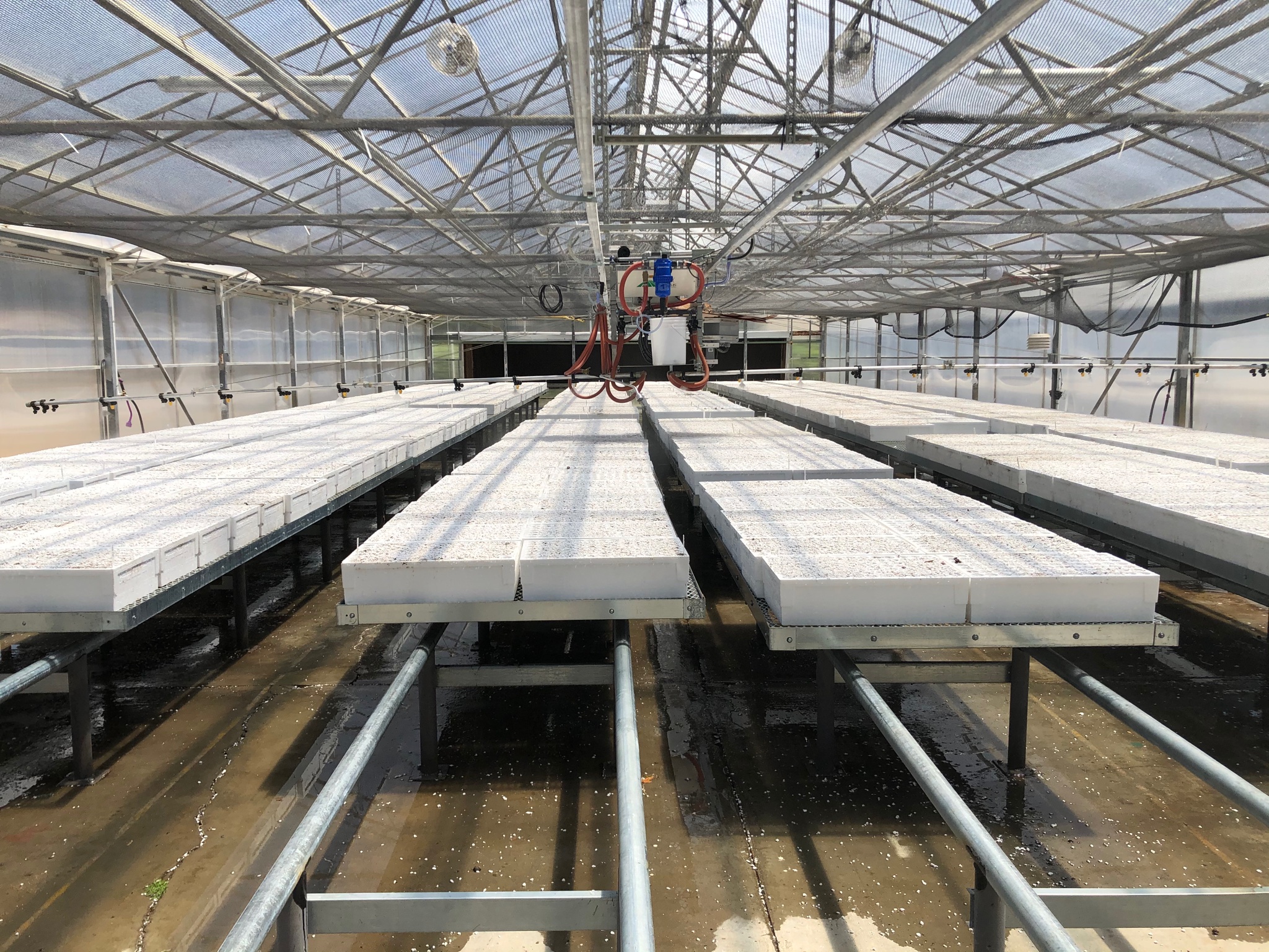 As wildfires ravage California, Davis-based reforestation center is on ...