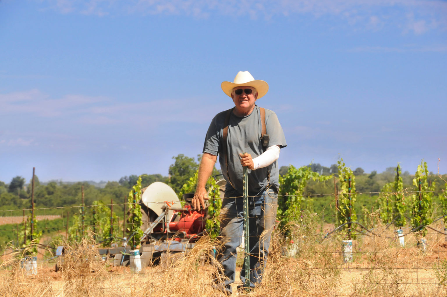 California says goodbye to ‘the Godfather of Barbera’ • Sacramento News ...