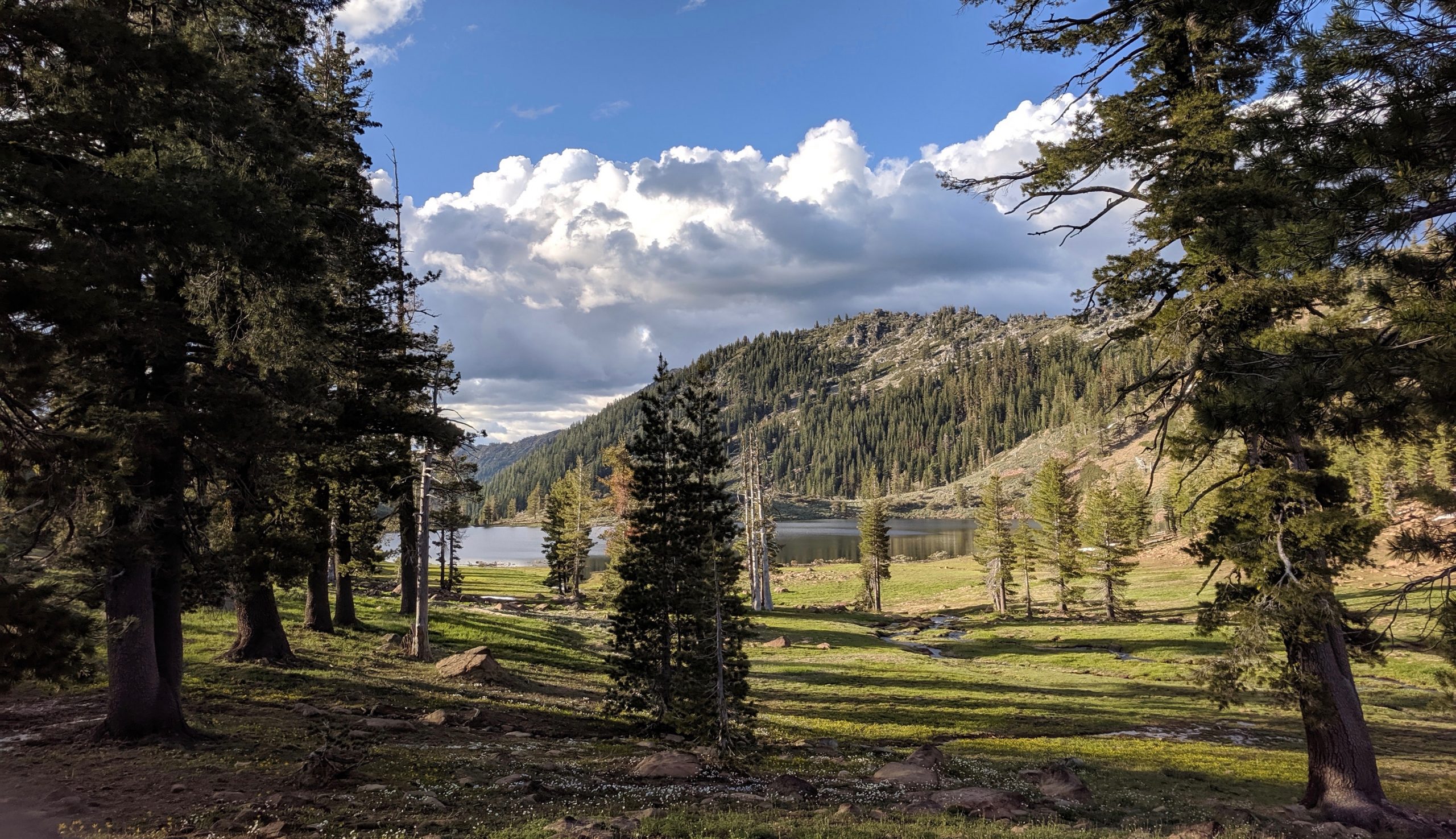 Essay: the PCT Effect, or healing and inspiration on the Sierra’s ...