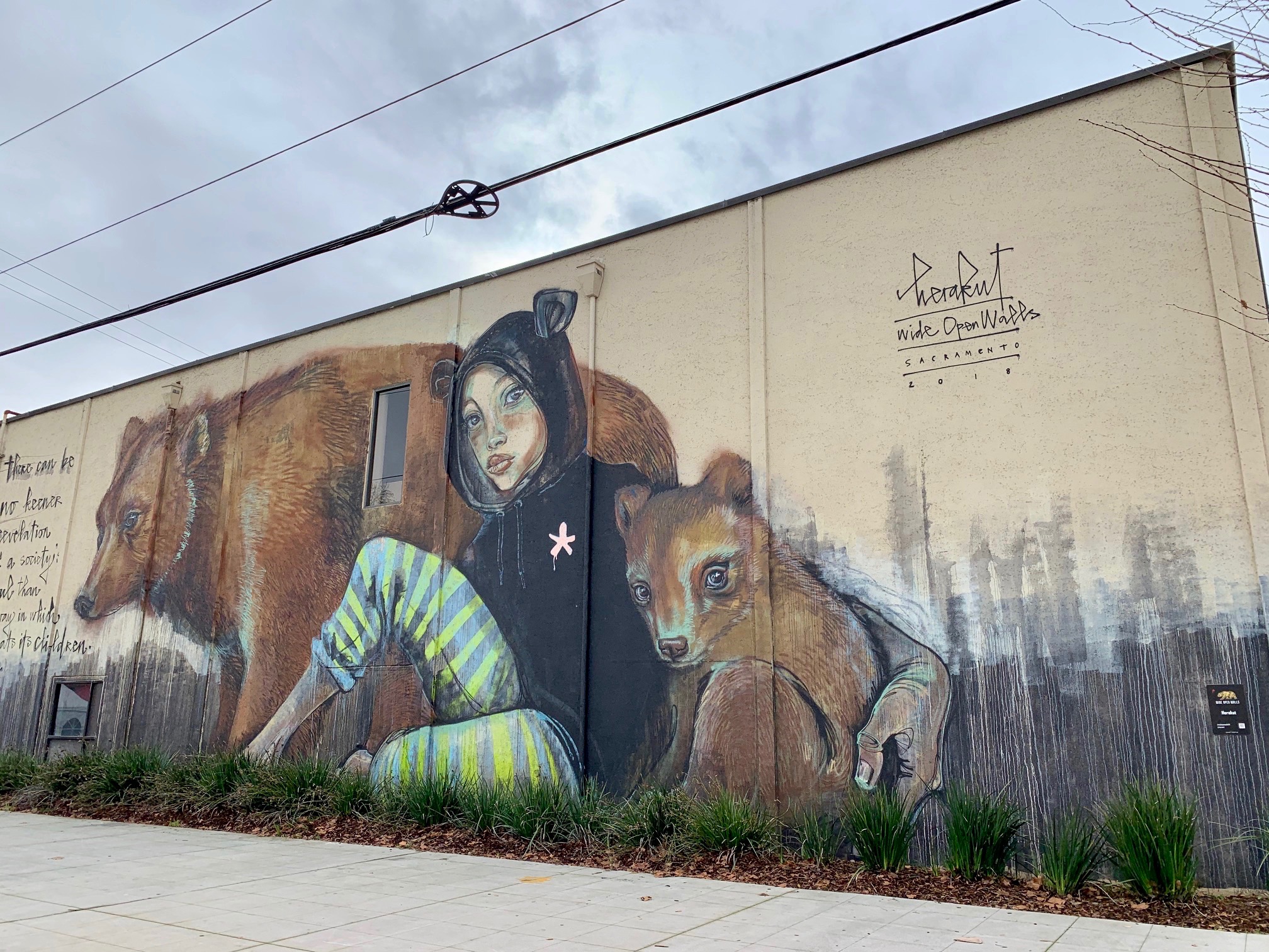 SEIU Local 1000 power struggle expands; president suspended ...