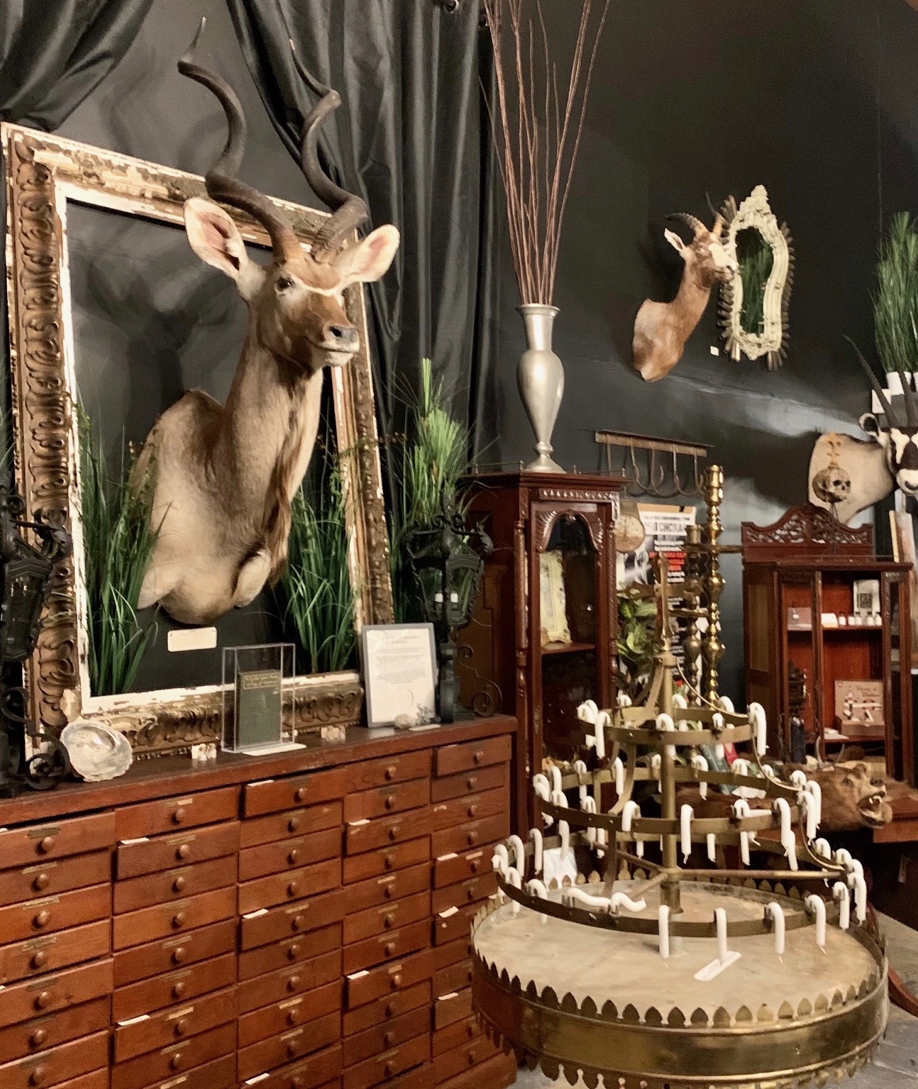 Sacramento’s witchcraft community finds common bonds with fang fanatics ...