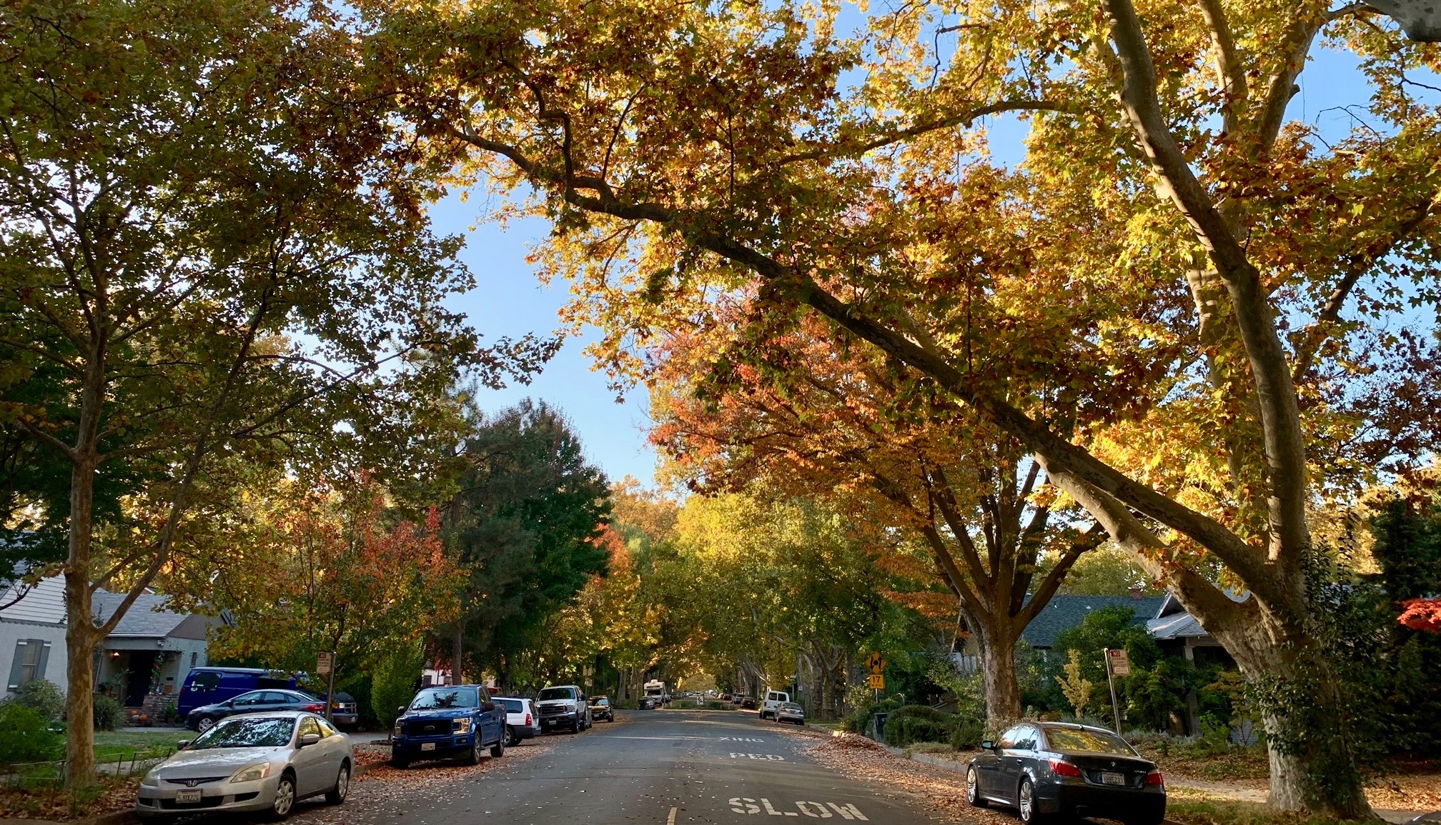 Without tree cover, urban Californians are hit harder by heat, air ...