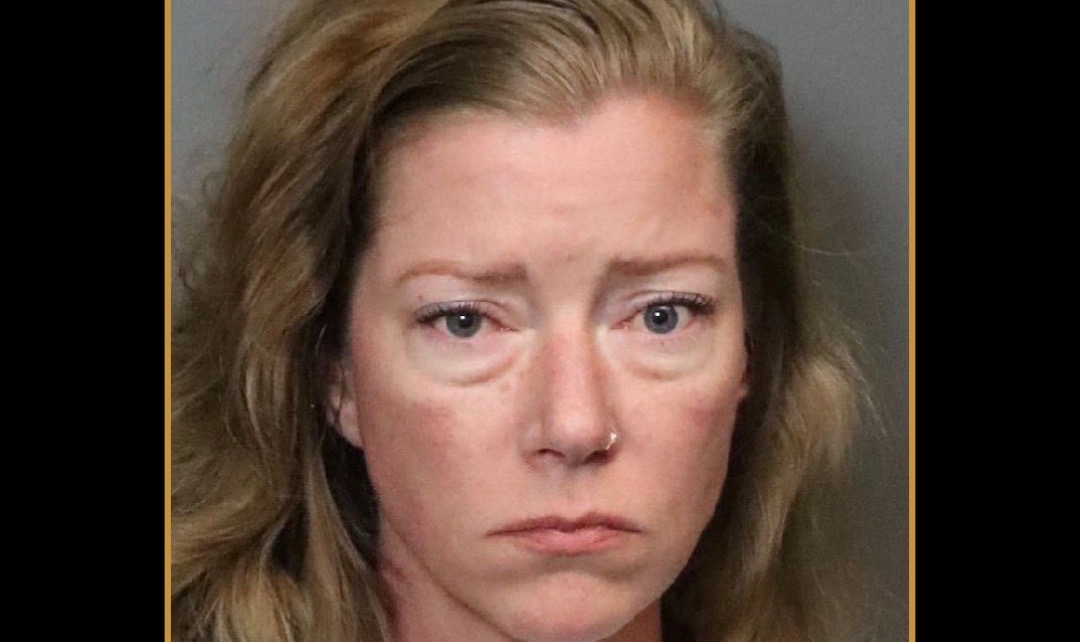 Carmichael woman accused of ruthless dog abuse case • Sacramento News ...
