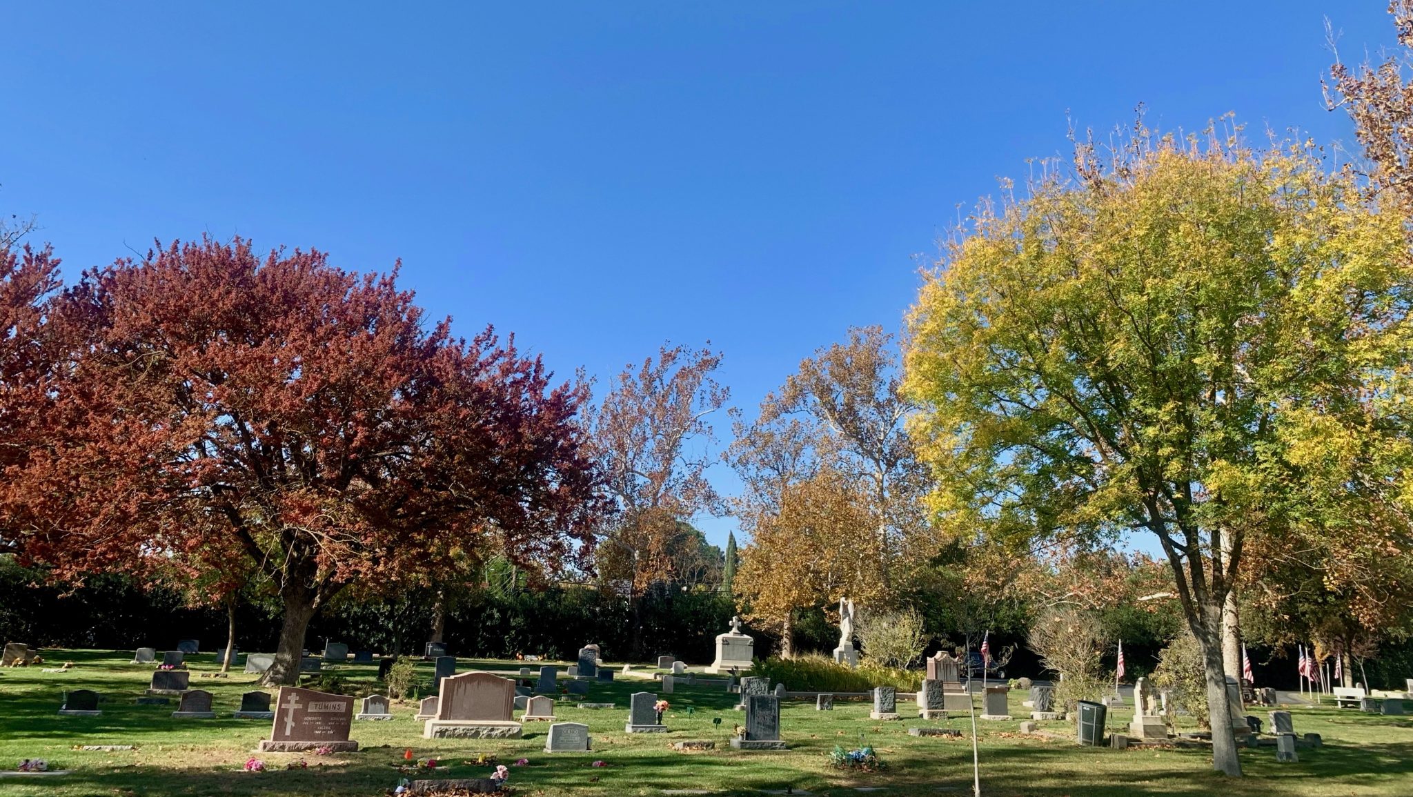 Remembering Davis's tragic ‘House of Horrors’ • Sacramento News & Review