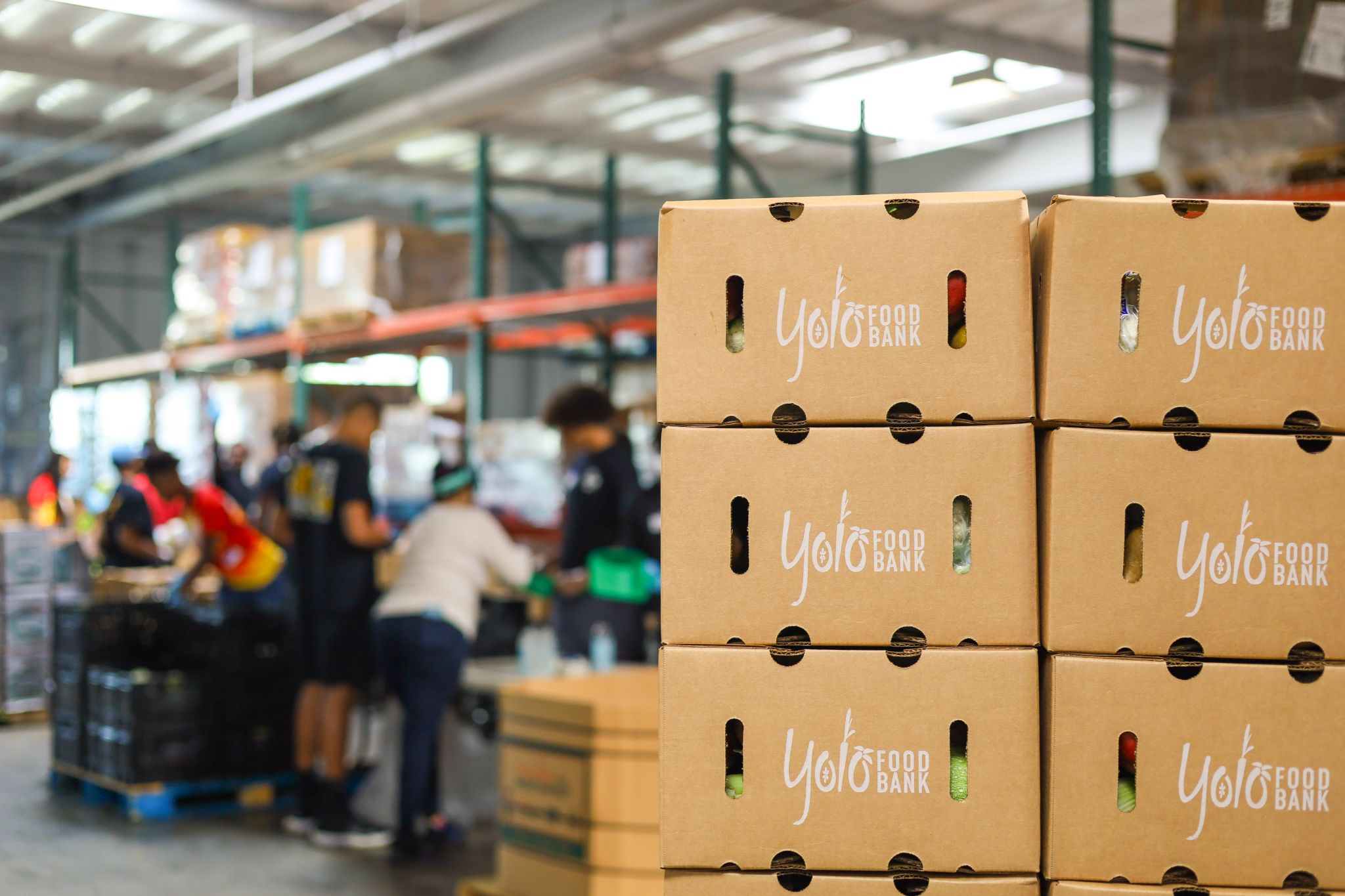 The Great Food Bank Robbery: Yolo County residents and other hungry ...