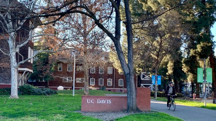 Sacramento-area instructors, students will return to a tense landscape ...